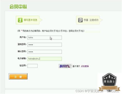 asp net动漫主题网站 CSDN博客