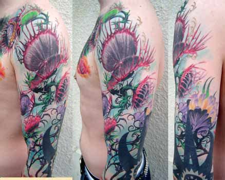 Flytrap Tattoos The Black Bison Tattoos Flower Venus Flytrap
