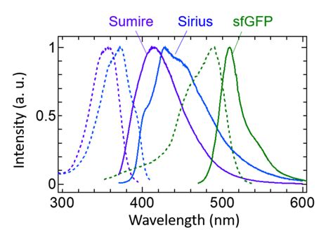 Fig 2 Image Eurekalert Science News Releases