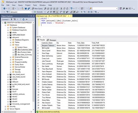 select from [akinyemi] [dbo] [customer sales] where state