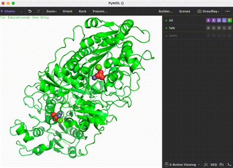チェインごとの色分け Pymol Book