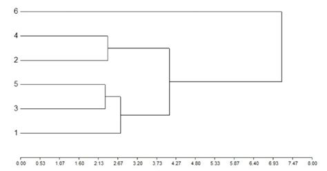 grouping of the treatments in clusters according to the euclidean