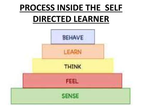 Self Directed Learning Pptx