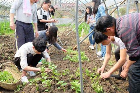 什么是实践，为什么说实践是认识的基础 百度经验
