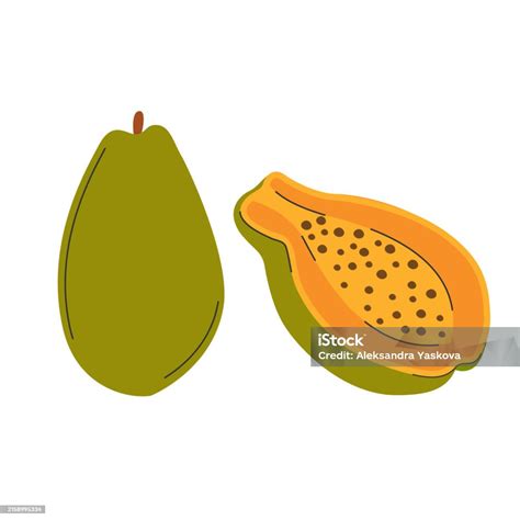파파야 과일 반 통째로 손으로 그린 잘 익은 건강 식품 Pawpaw 클립 아트 과일 건강한 생활방식에 대한 스톡 벡터 아트 및