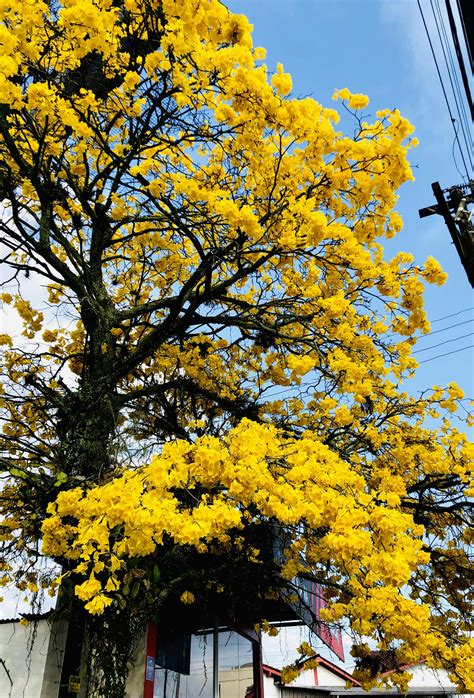 Tailwindcss Tip How To Create Perfect Inner Outer Border Radius