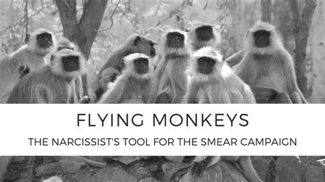 Flying Monkeys & the Narcissist's Smear Campaign - YouTube