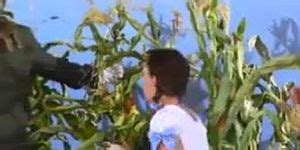 The Wizard Of Oz Porn Parody Tnaflix Com
