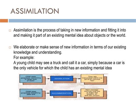 Ppt Jean Piaget Powerpoint Presentation Id3022492