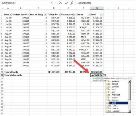 Summing Visible Cells Only • Za • Advanced Excel