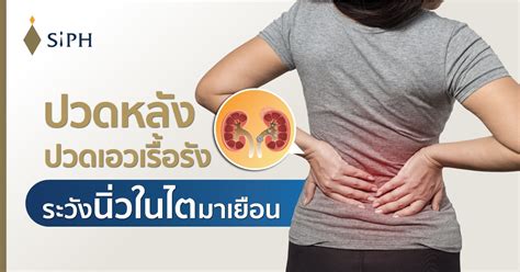 โรงพยาบาลศิริราช ปิยมหาราชการุณย์