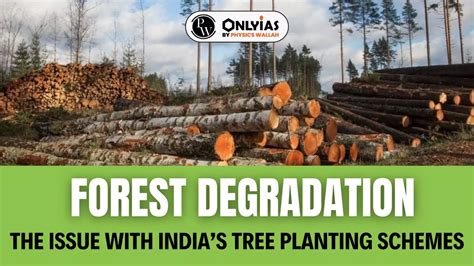 Forest Degradation The Issue With Indias Tree Planting Schemes PWOnlyIAS