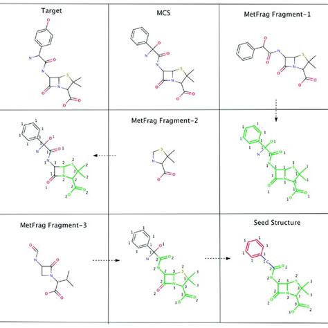 An Example Illustrating The Steps Involved In Algorithm 3 3 Mcs Atoms Download Scientific