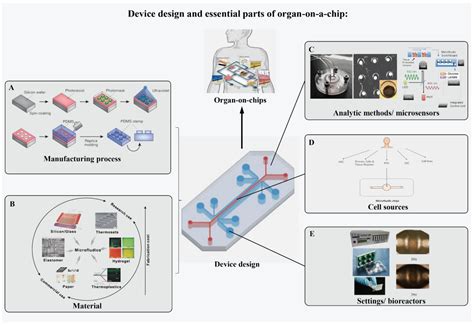 Bioengineering Free Full Text Organ On A Chip Database Revealed—achieving The Human Avatar Bioengineering Free Full Text Organ On A Chip Database Revealed—achieving The Human Avatar