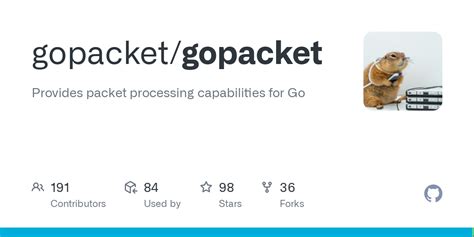 GitHub Gopacket Gopacket Provides Packet Processing Capabilities For Go