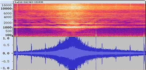 Pipeline Assessment Technology Hydromax Usa
