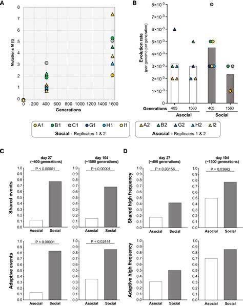 Molecular E Coli Evolution In A Social And Asocial Context A Download Scientific Diagram
