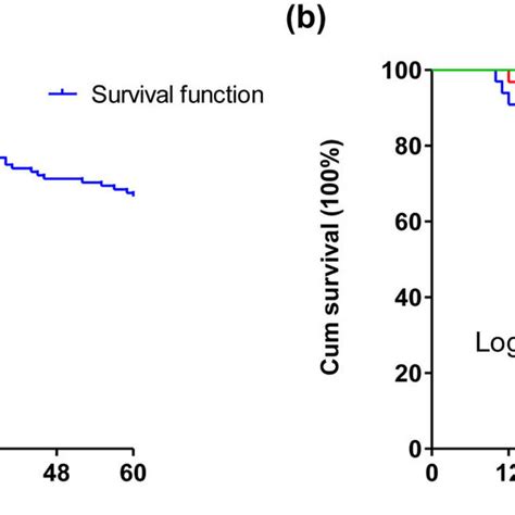 Ihc Staining Ihc Staining Was Performed To Detect The Expression Of Download Scientific