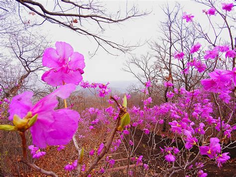 찬민 진리는 하나요 둘일 수 없다 그러므로 진리를 아는 사람은 다투지 않는다 그러나 사람들은 제각기 다른 진리를 찬양하고