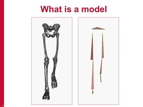 Cga Ifa 2015 3 Introduction To The Conventional Gait Model