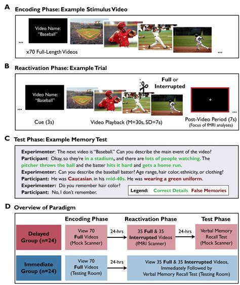 Overview Of Experimental Paradigm A During The Encoding Phase All