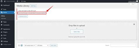 Resolve File Type Not Permitted For Security Reasons