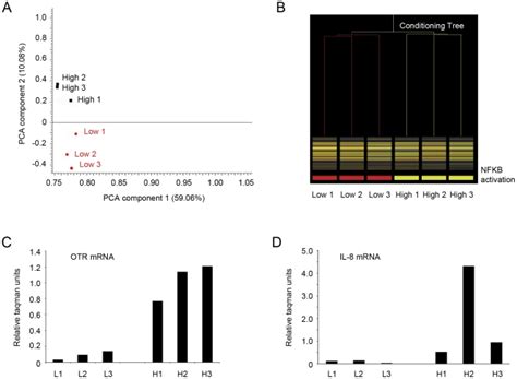 a gene data derived from the microarray analysis was firstly examined