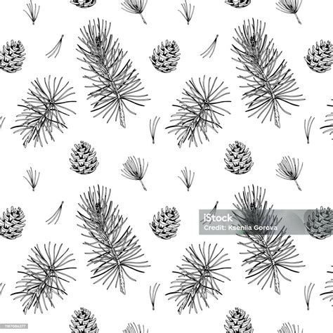 소나무 나무 가지와 흰색 배경에 고립 된 원추형과 손으로 그린 크리스마스 원활한 패턴 스케치 스타일의 벡터 일러스트레이션 바늘 잎에 대한 스톡 벡터 아트 및 기타 이미지