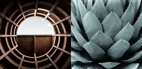 Unity Photography Examples And Ideas Ultimate Guide