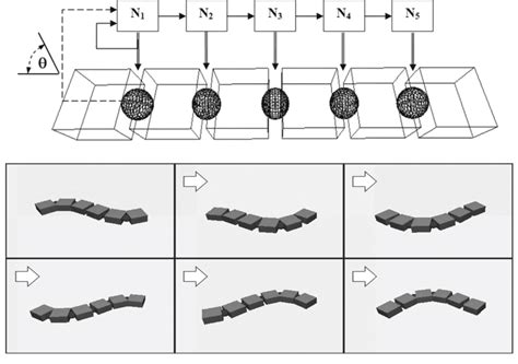 Diagram Of The Neural Control Circuit Of The Robot Locomotion Sequence Download Scientific