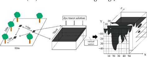 Figure 1 from Effects of the Root System Architecture of Pinus taeda and Phyllostachys edulis on ...