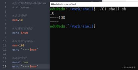 shell 02 shell变量 shell 命令里加入自定义变量 csdn博客