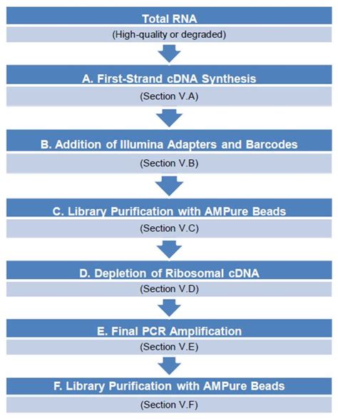 Ultra Low Input Total RNA Sequencing Cancer Genomics Center UTHealth Houston