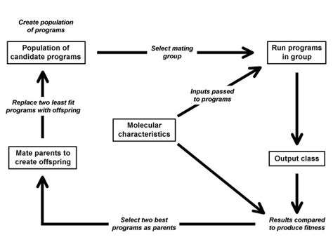 The Genetic Programming Process This Iterative Technique Was Employed Download Scientific