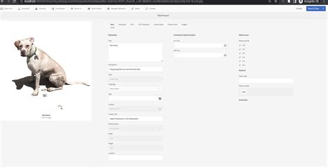 Solved Re How To Add Multi Line Text In Metadata Schema Adobe