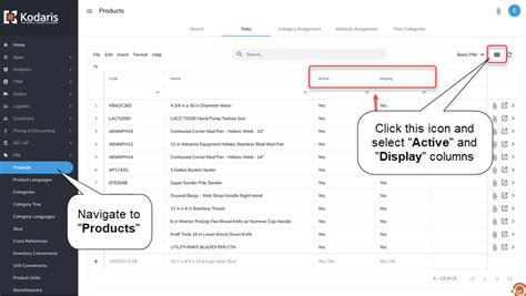Kodaris Product Documentation Active And Display Product Fields