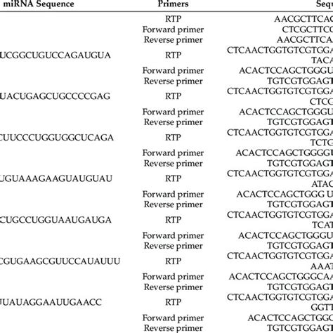 Primers Used For Reverse Transcription And Stem Loop Real Time Qpcr