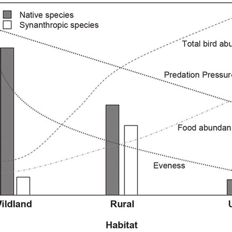 Pdf Birds In Urban Ecosystems Population Dynamics Community