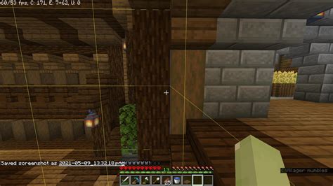 Minecraft Java Edition Loaded Chunk Visibly Disappears When In One Chunk But Appears In The