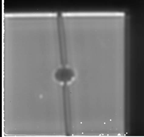 Exoplanet Detection Yolov7 Object Detection Dataset And Pre Trained Model By Exoplanet Detection