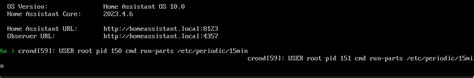 Cron Logs In Cli After Move To Another Computer Home Assistant Os