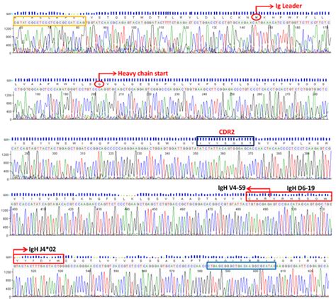 Megaprimer Pcr With Primestar Gxl