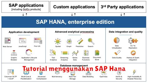 panduan lengkap memahami dan menggunakan sap hana