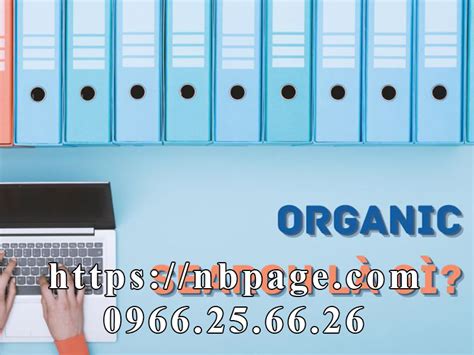 Thiết Kế Web Ninh Bình Organic Search Là Gì 7 Cách Tăng Organic