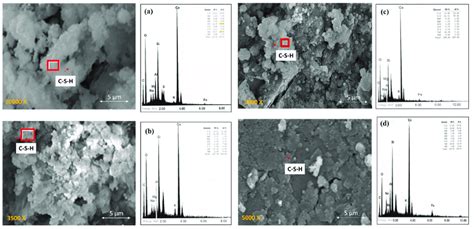 SEM Surface Morphology Micrographs And Elemental Analysis By X Ray Download Scientific Diagram