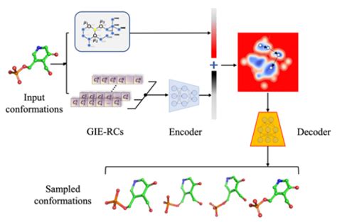 3d Conformational Generative Models For Biological Structures Using Graph Information Embedded