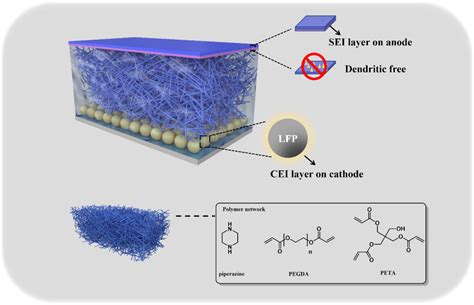 Rational Design Polyether‐ester‐based Polymer Electrolyte By Aza