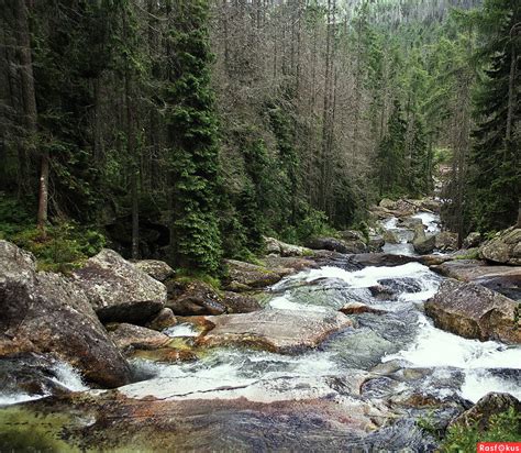 Горный ручей (90 фото)