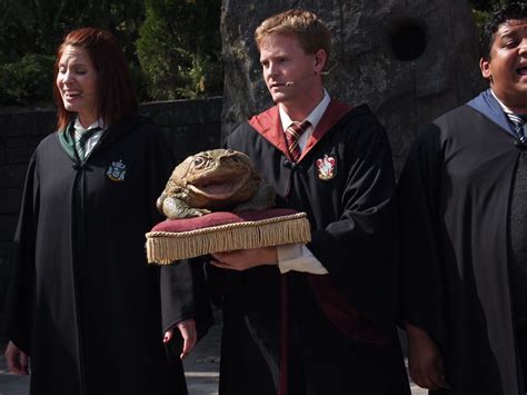 Trevor Harry Potter Harry Potter Fans Are Sharing Small Details From