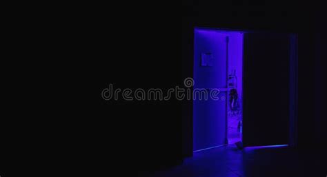 hacker hide or neon in night coding web 3 0 programming or phishing